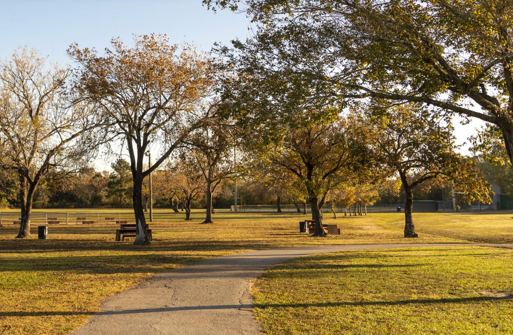 Discover the Best Things to Do After Work in North Houston